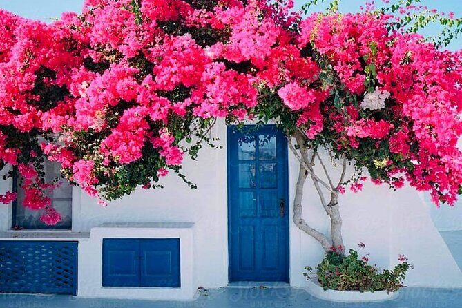 Private Full Day Rhodes Island Tour from Cruise Port - FAQ