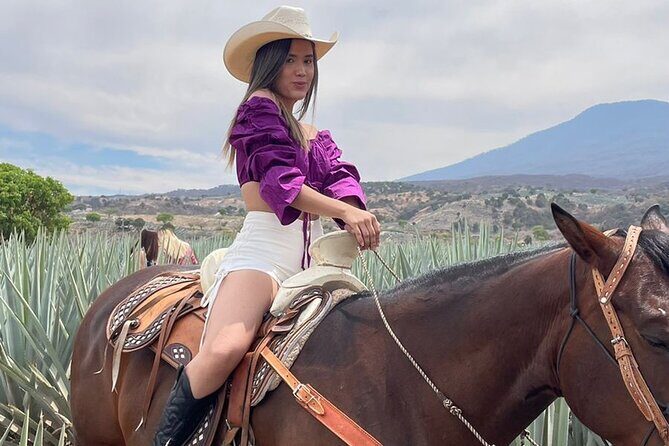Private Full-Day Ruta del Tequila Tour: Safe & Expert-Guided - The Itinerary Breakdown: What to Expect