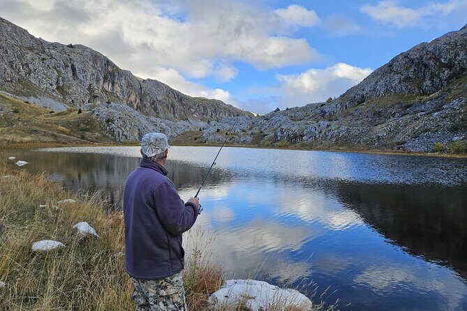 Private Full Day Safari Tour - A Closer Look at the Experience