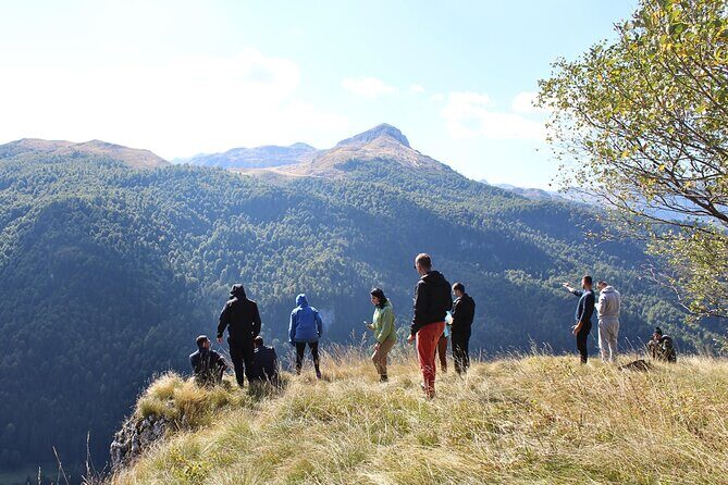 Private Full Day Safari Tour - The Experience in Practice