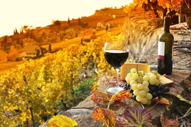 PRIVATE Full-Day Tour around Pisa and Lucca from Florence - FAQ