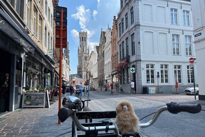 Private Full-Day Tour Bruges & Ghent from Brussels with tastings - Final Thoughts