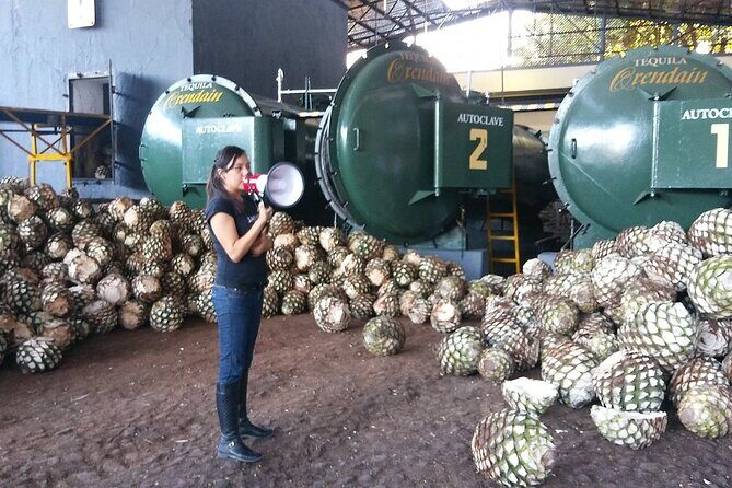 Private Full Day Tour in Guachimontones and Orendain Tequila - Practical Details and Experience Value