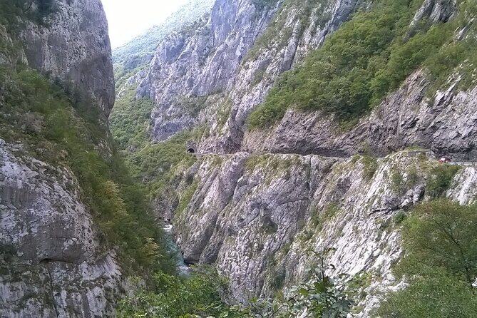 Private Full-Day Tour in Moraca and Tara Canyons, Durmitor & Biogradska Gora NP - An Overview of the Tour Experience