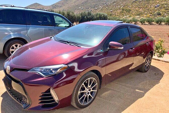 Private Full Day Tour in Valle de Guadalupe - Final Thoughts: Who Will Enjoy This Tour?