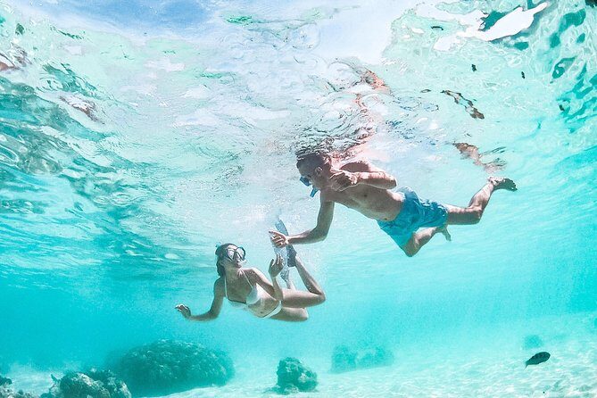 PRIVATE Full Day Tour : Moorea Snorkeling & Sailing on a Catamaran named Taboo - The Guides: Leo and Kevin