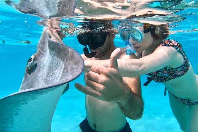 PRIVATE Full Day Tour : Moorea Snorkeling & Sailing on a Catamaran named Taboo - Practical Details: What You Need to Know