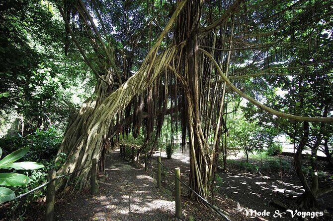 Private Full Day Tour of Tahiti - Frequently Asked Questions