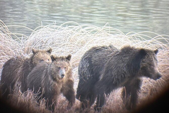 Private Full Day Tour of Yellowstone's Natural Wonders - Final Thoughts