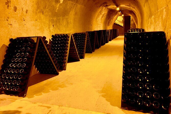 Private Full Day Tour to Champagne from Paris, Visit of 2 Champagne Producers - Authentic Experiences and Valued Highlights