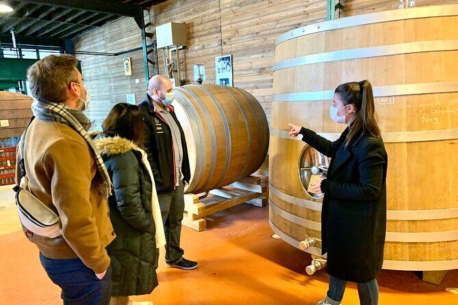 Private Full Day Tour to Champagne from Paris, Visit of 2 Champagne Producers - The Sum Up