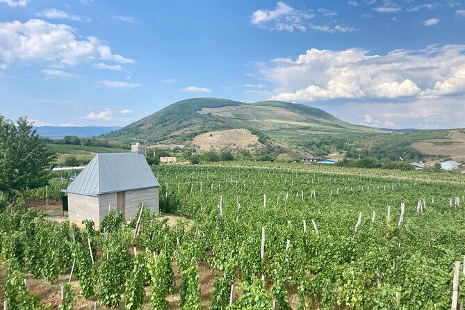 Private Full Day Tour to Eger - History, Culture and Wine - FAQ