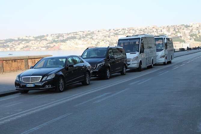 Private full day tour to Pompeii Amalfi Coast and Ravello - Who Will Love This Tour?