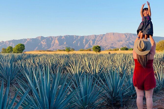 Private Full-Day Tour to Tequila Pueblo Magico - Key Points