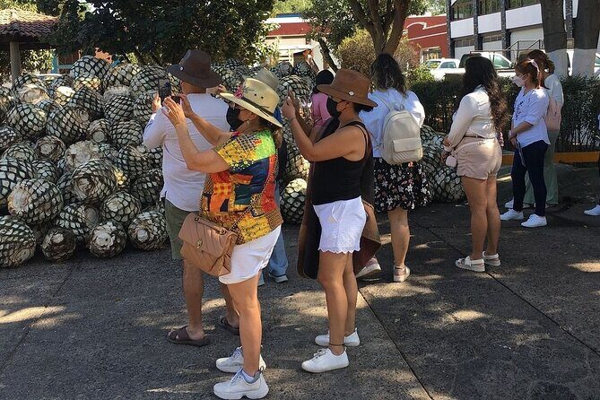 Private Full-Day Tour to Tequila Pueblo Magico - Who Would Love This Tour?