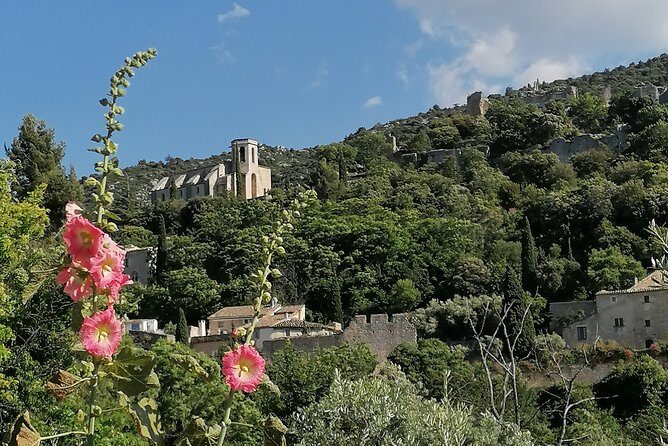 Private Full Day Tour Villages of the Luberon from Avignon - Practical Tips for Booking and Enjoying the Tour
