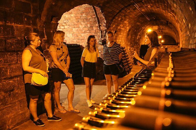 Private Full Day Tour - Visit of 3 Champagne Growers from Reims. - Who Would Love This Tour?