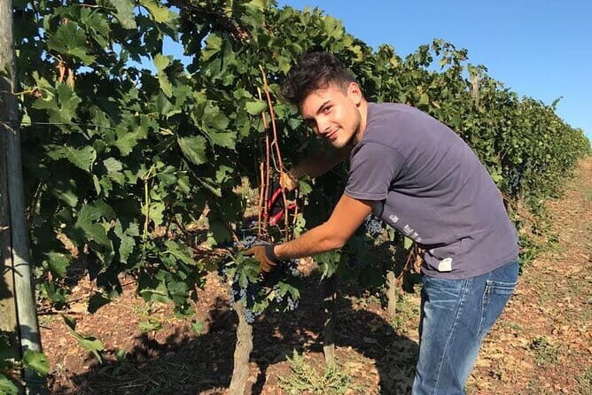 PRIVATE Full-Day Wine Experience in Chianti Classico. - A Closer Look at the Itinerary