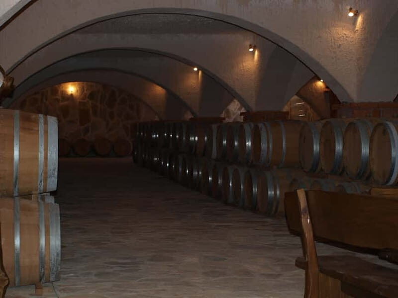 Private Full-Day Wine Tour from Dubrovnik to Peljesac - The Experience of Transportation and Guides