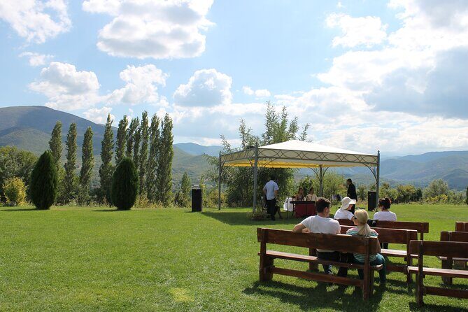Private Full Day Wine Tour from Skopje to Popova Kula Winery - Authentic Insights from Reviewers