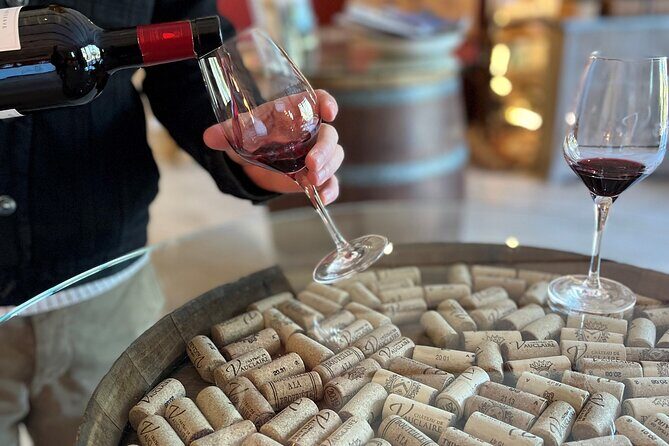 Private Full Day Wine Tour in Provence From Marseille cruise port - A Deep Dive into the Provence Wine Tour