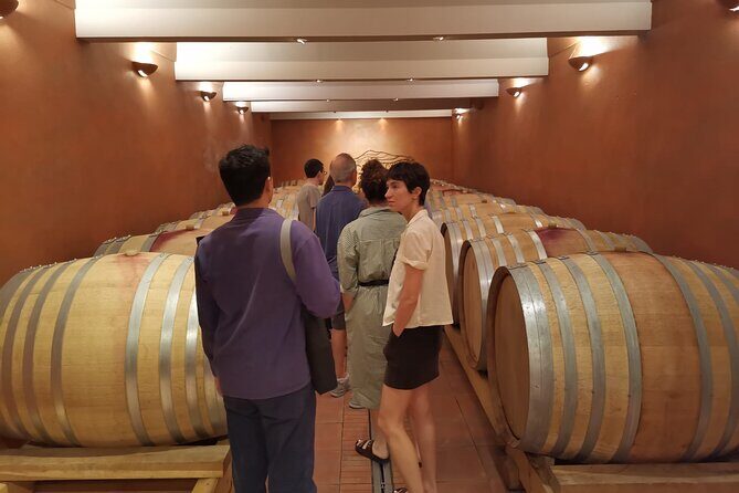 Private Full Day Wine Tour in Provence From Marseille cruise port - Practical Details