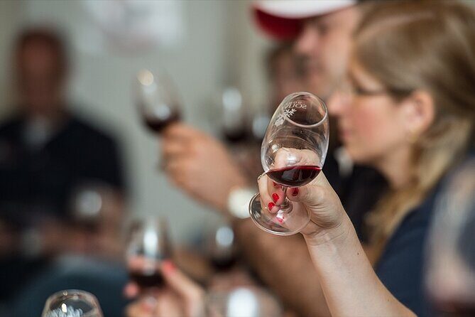 Private Full Day Wine Tour in Provence from Toulon Cruise Port - Transportation and Logistics