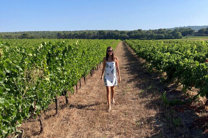 Private Full Day Wine Tour in Provence from Toulon Cruise Port - Who Would Love This Tour?
