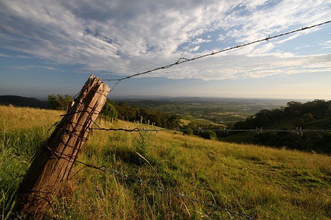 Private full-day wine tour in the Hunter Valley - Who Will Love This Tour?