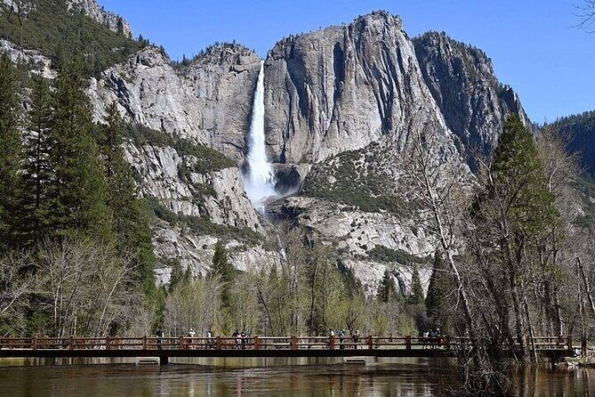 Private Full Day Yosemite National Park Tour from Cupertino - Practical Details and Transport