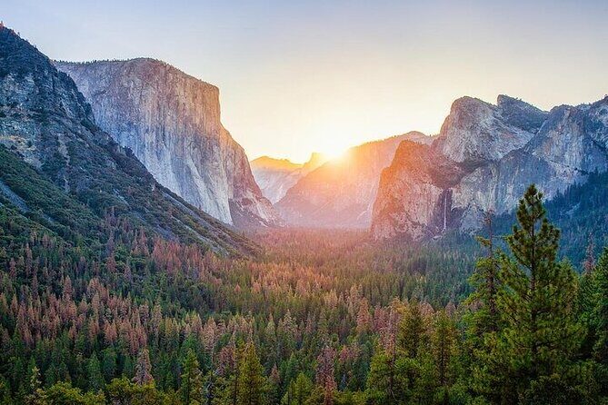 Private Full Day Yosemite National Park Tour from Cupertino - Authentic Experiences and Reviewer Insights