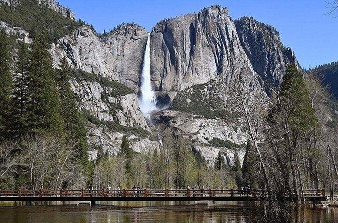 Private Full Day Yosemite National Park Tour from Cupertino - Final Thoughts
