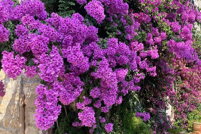 Private Game of Thrones Tour with King's Landing Garden - Authentic Experiences and Review Highlights