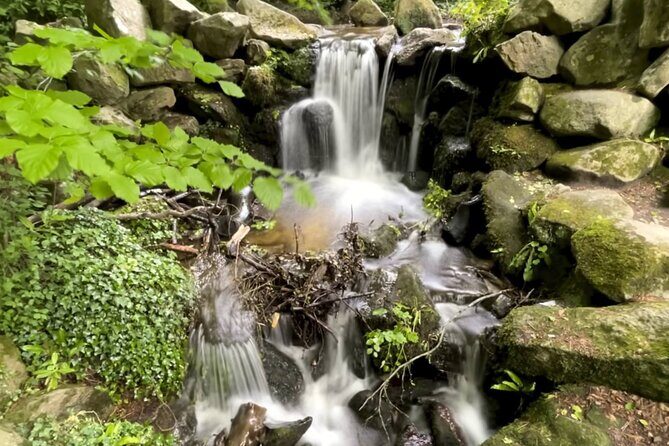 Private Garden of Ireland Wicklow Tour from Dublin - Exploring Wicklow: The Itinerary in Detail