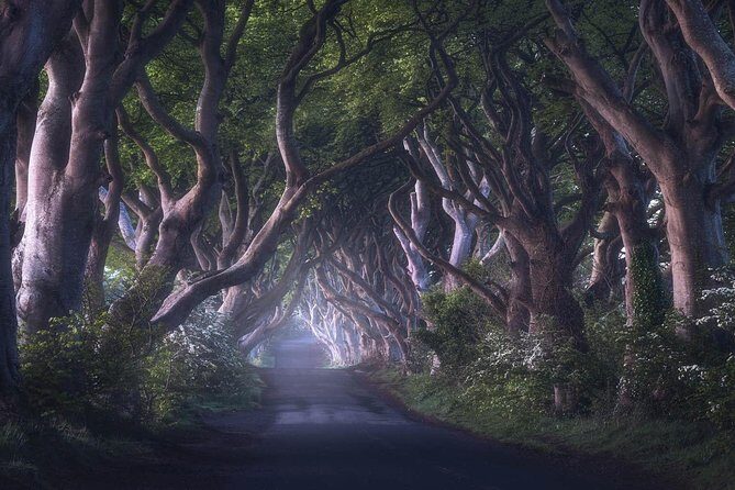 Private Giants Causeway Express Tour from Belfast - The Sum Up