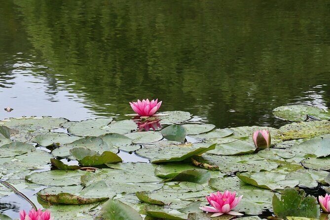 Private Giverny Monets House & Gardens Half-Day Tour from Paris - FAQ