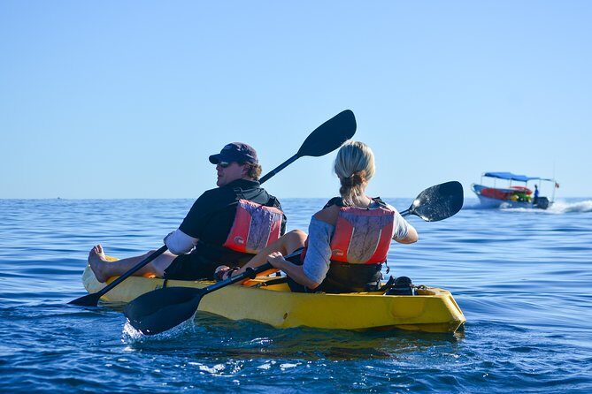 Private Glass bottom Kayak and snorkel at two Bays - Return Trip and Final Remarks