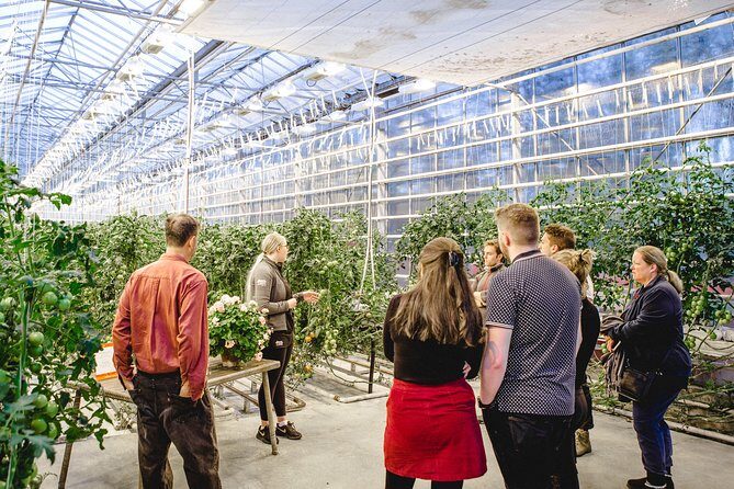 Private Golden Circle, Sky Lagoon and Friðheimar Greenhouse Lunch - Final Thoughts