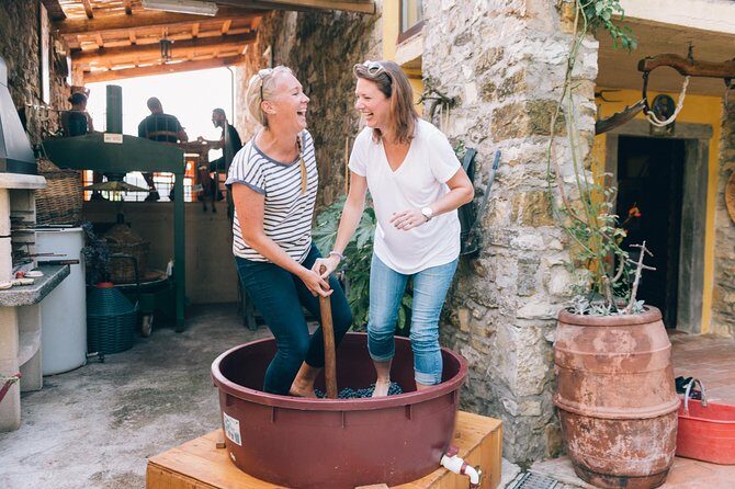 Private Grape stomping at Chianti Farmhouse - Discover the Charm of Private Grape Stomping at a Chianti Farmhouse