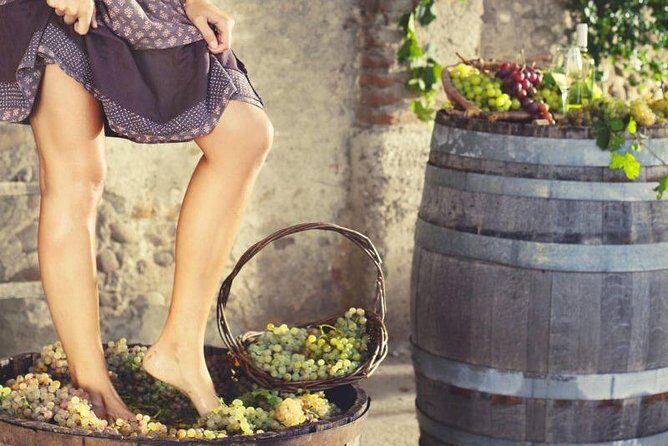 Private Grape stomping at Chianti Farmhouse - Key Points