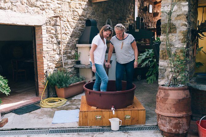 Private Grape stomping in Chianti from Florence - Key Points