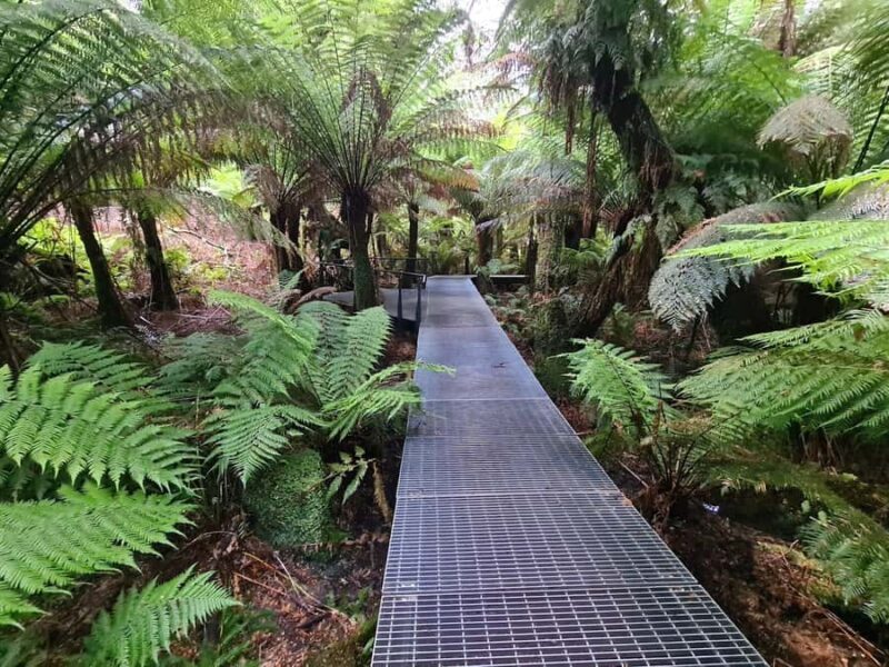 Private Great Ocean Road & 12 Apostles Experience - Who Should Consider This Tour?