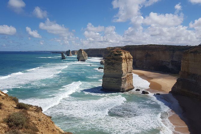 Private Great Ocean Road Day Trip from Melbourne - Final Thoughts: Who is This Tour Best For?