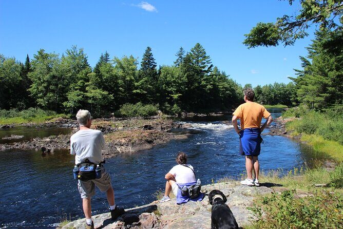 Private Greater Toronto DriveSpa Tour with Lunch - The Sum Up