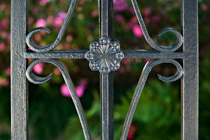 PRIVATE GROUP! Charm of Charleston History and Sights Tour - Philadelphia Alley