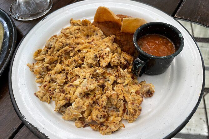 Private/Group Cola de Caballo Waterfall & Santiago (Premium SUV) - Pricing and Value