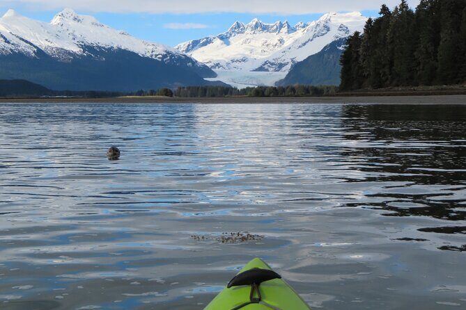 Private Group Kayaking Tour with Mendenhall Glacier Views - Final Thoughts