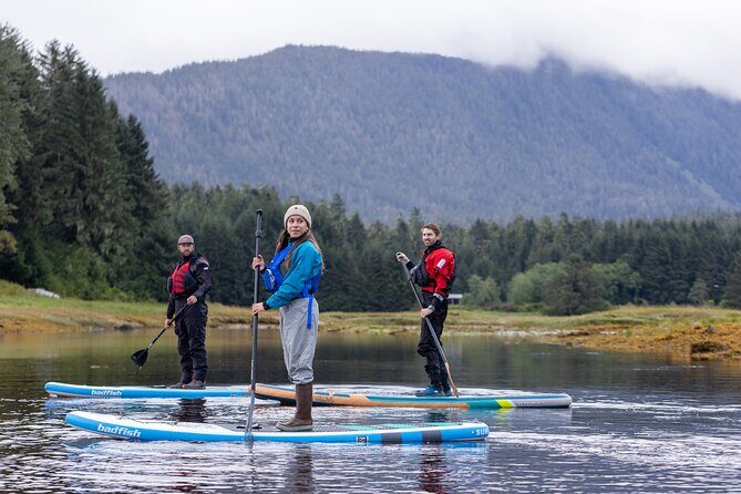 Private Group Paddle board tour in Juneau with Glacier views - The Itinerary in Detail