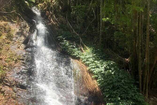 Private Group Tour Brisbane & Gold Coast Personal Tours - Final Thoughts