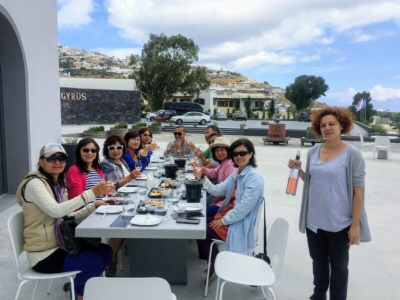 Private Group Visit to Akrotiri & 3 Wineries with Tastings - Who Might Want to Consider Other Options